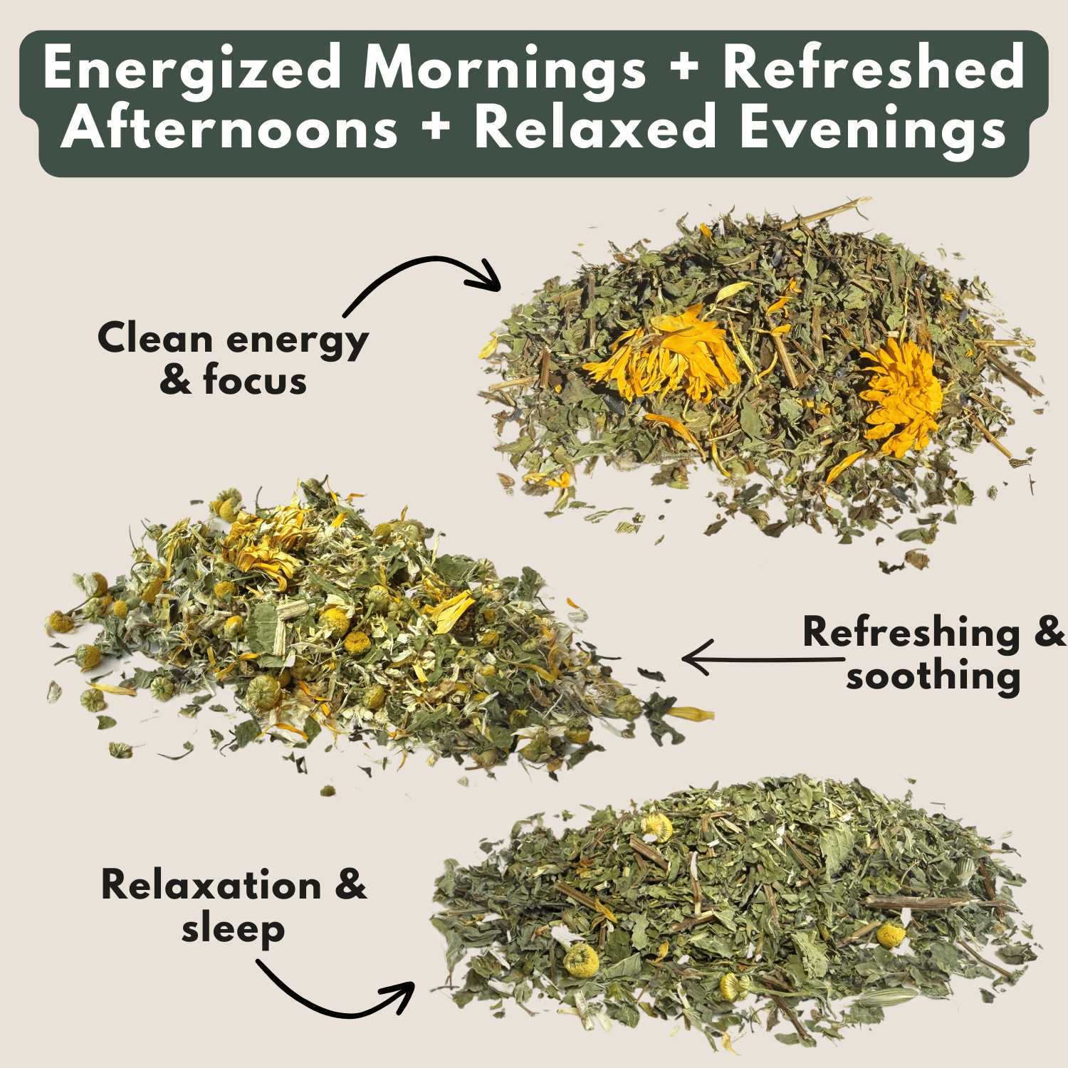 Organic Teas Handmade On USA Regenerative Farms – Wilsala